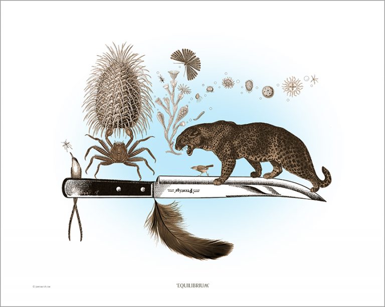 Eco Editions - James Marsh